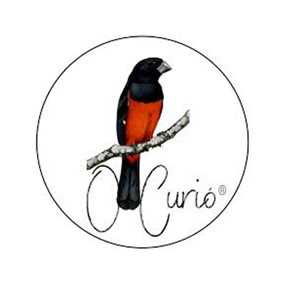 Curio İstanbul | Müzayede APP